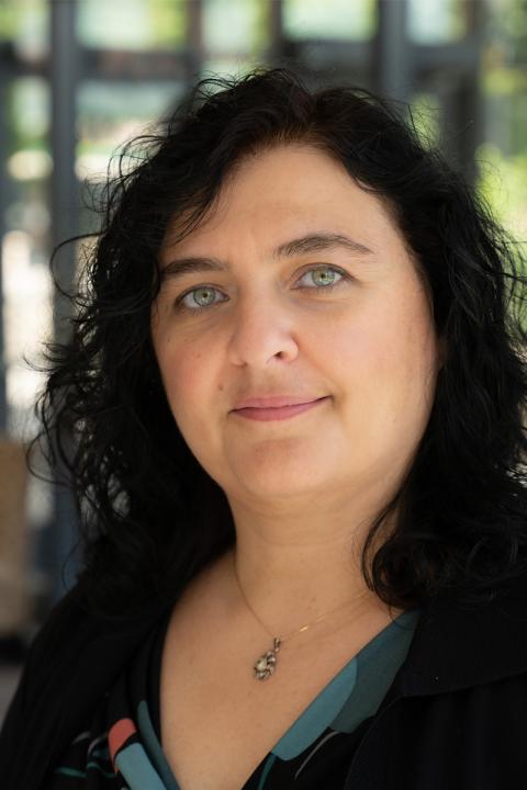 Management Majors | Kent State University